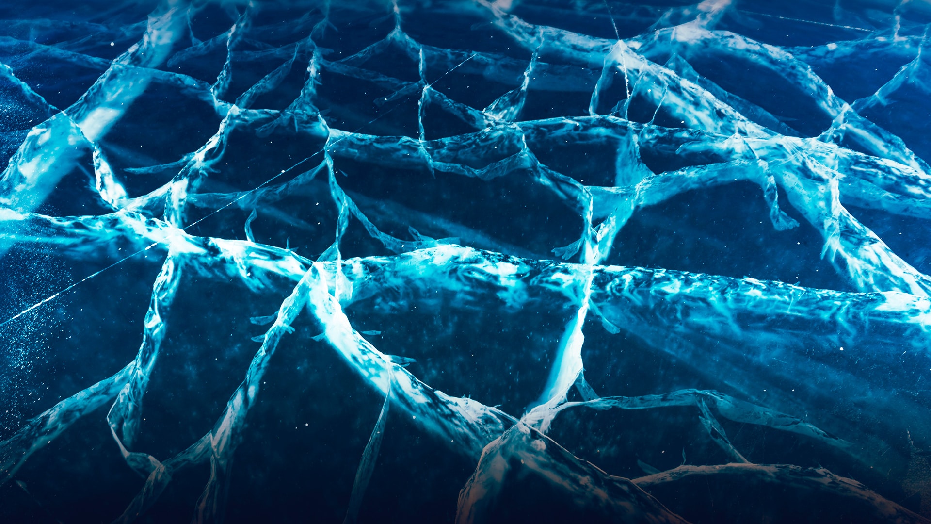 VIP - John Smith Rock Frozen